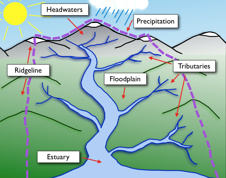 Chapter 7: Water - Permaculture Design Course Handbook