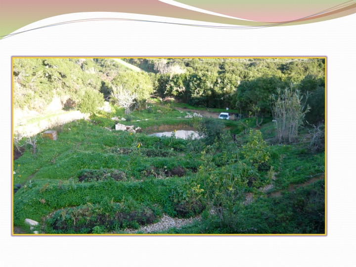 Terraces - Permaculture Design Course Handbook