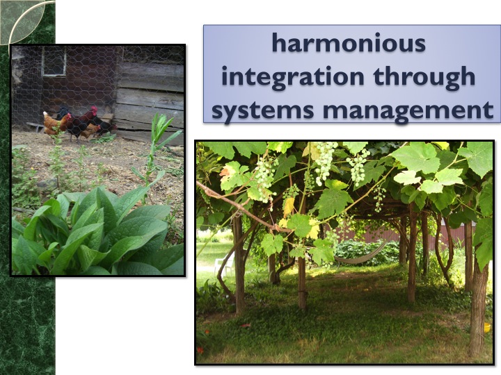 TreeYo Permaculture Definition - Permaculture Design Course Handbook