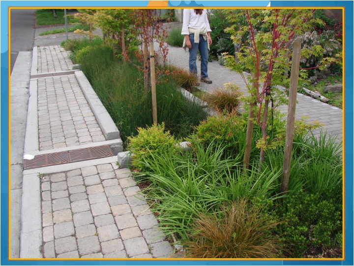 Curb Cuts - Permaculture Design Course Handbook