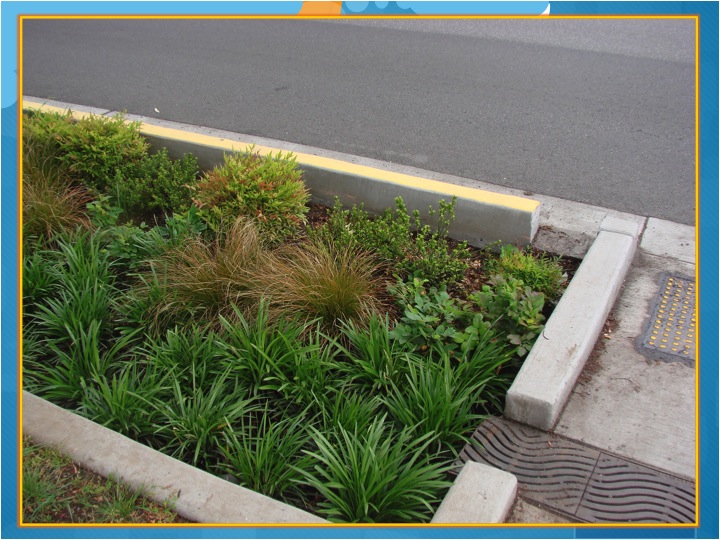 Curb Cuts - Permaculture Design Course Handbook