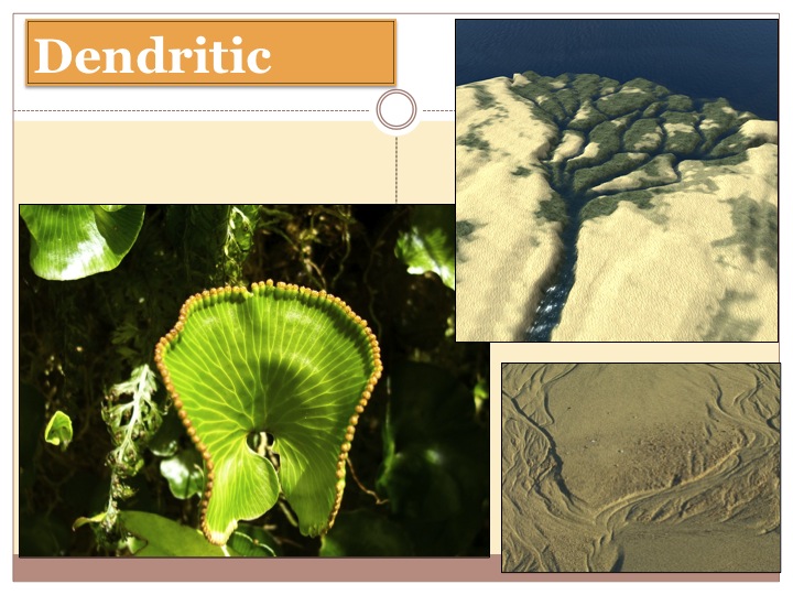 Dendritic - Permaculture Design Course Handbook