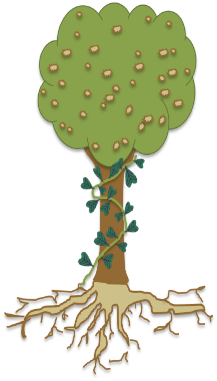 Core Model - Permaculture Design Course Handbook