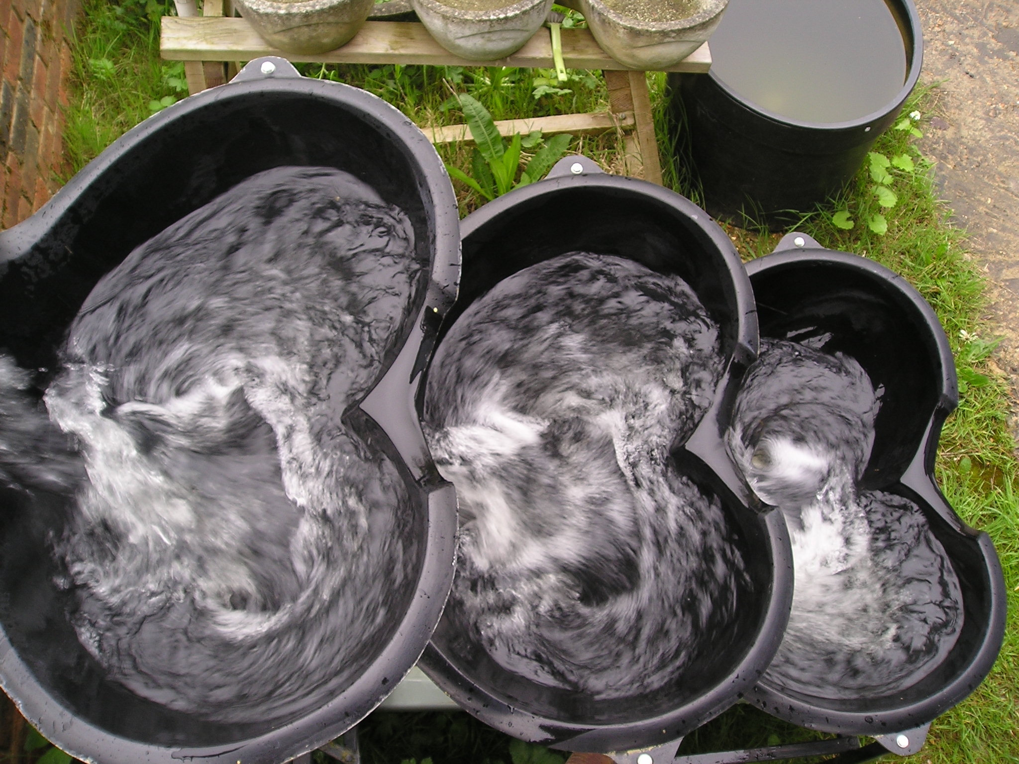 Vortex - Permaculture Design Course Handbook