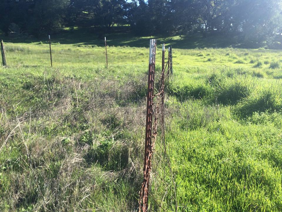 Animal Rotation and Tractoring - Permaculture Design Course Handbook