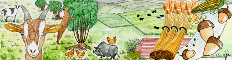 Animal Systems - Permaculture Design Course Handbook