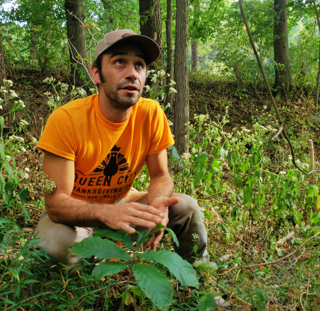 Join the Paw Paw Master Class - Permaculture Design Course Handbook